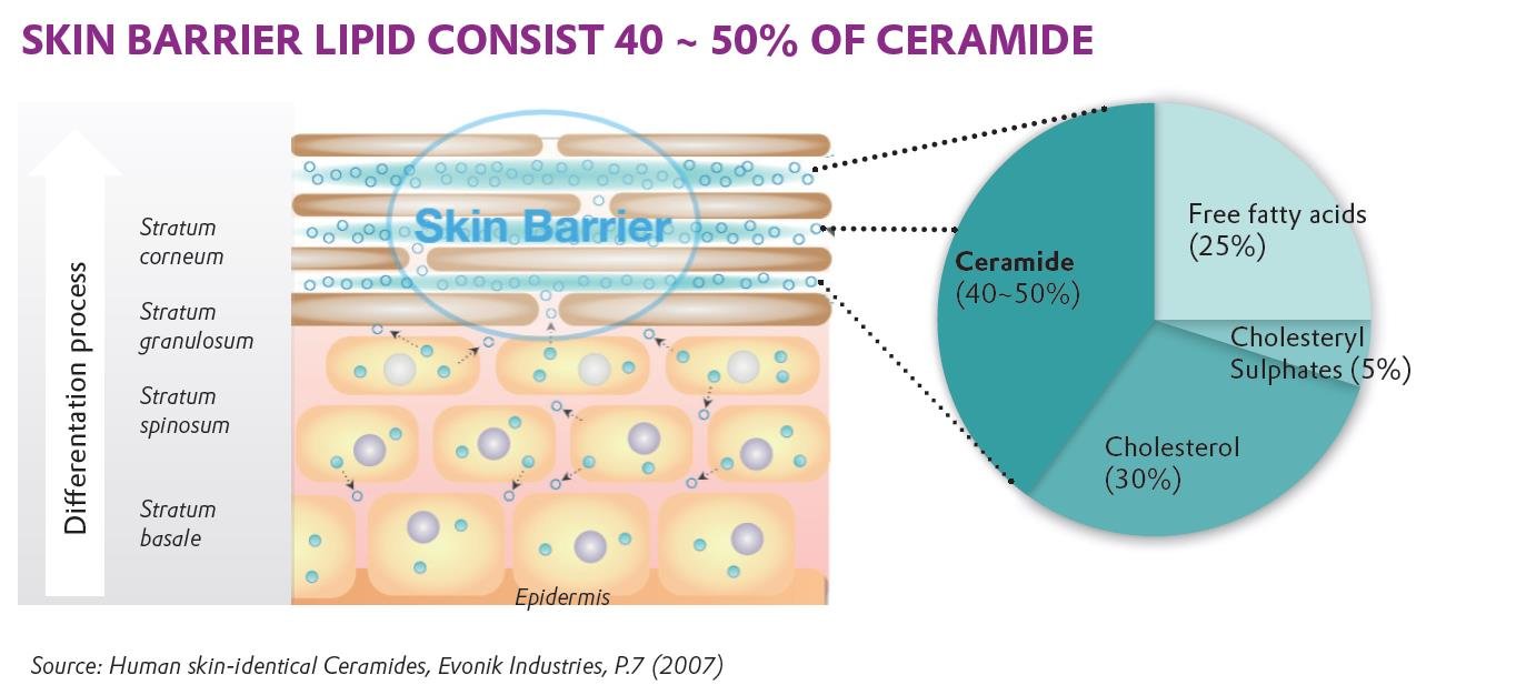 Cerabest® - Nextgenlife